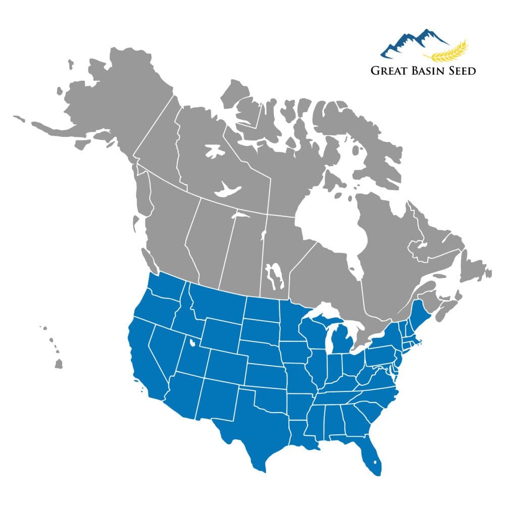 Dryland Pasture Seed Mix - Great Basin - drought tolerant grasses