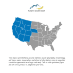 Yellow Rabbitbrush - Chrysothamnus viscidiflorus - Great Basin