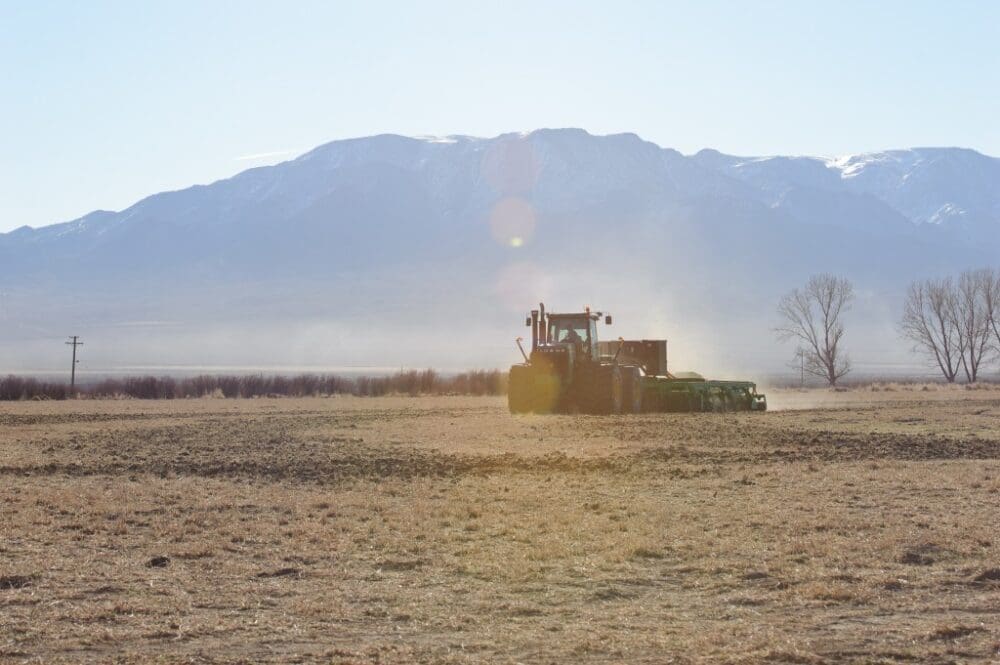 Prosper 3 Grain Forage Mixture - Great Basin Seeds