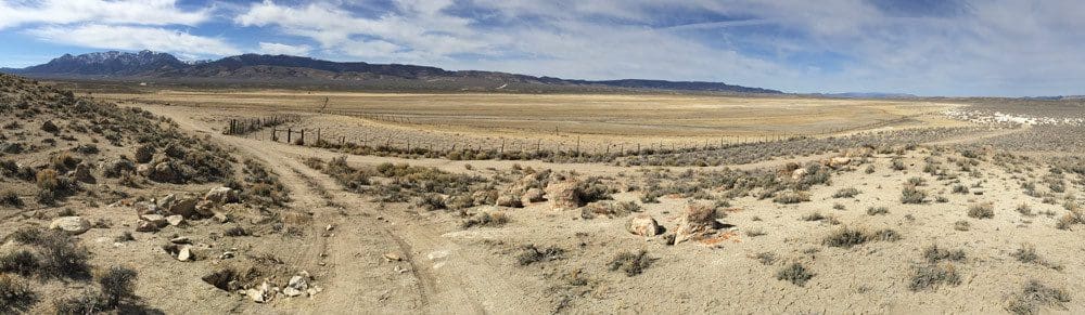 Salt & Alkali Soils Pasture Mix - Great Basin Seed - Native Seed