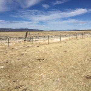 Salt & Alkali Soils Pasture Mix - Great Basin Seed - Native Seed