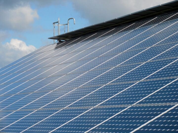 solar farm restoration Utah - Great Basin Seed