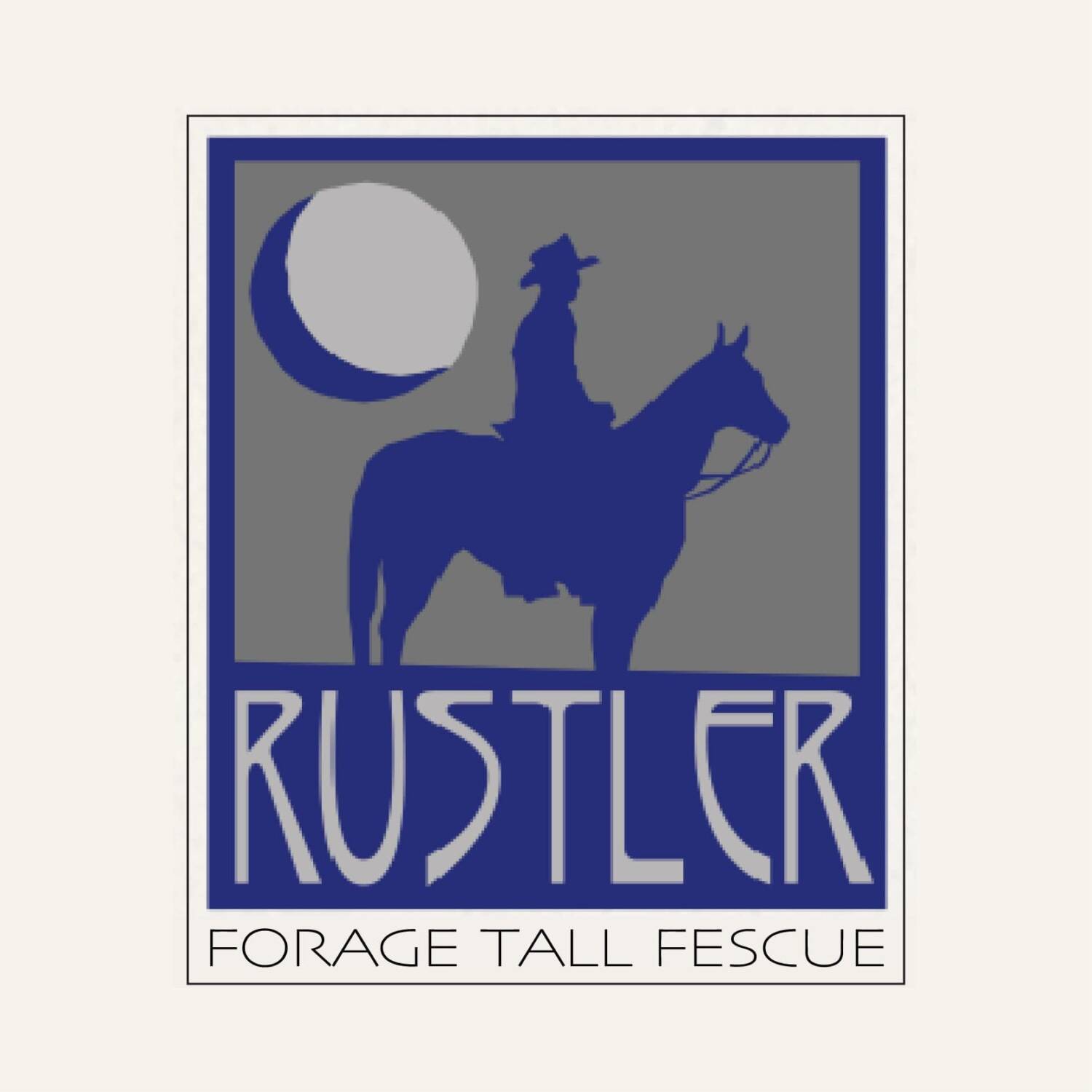Rustler Tall Fescue (Festuca arundinacea) - Great Basin Seeds