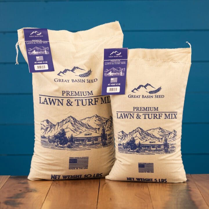 Lawn and Turf Seed Mix - Great Basin Seeds - lawn grass mixes
