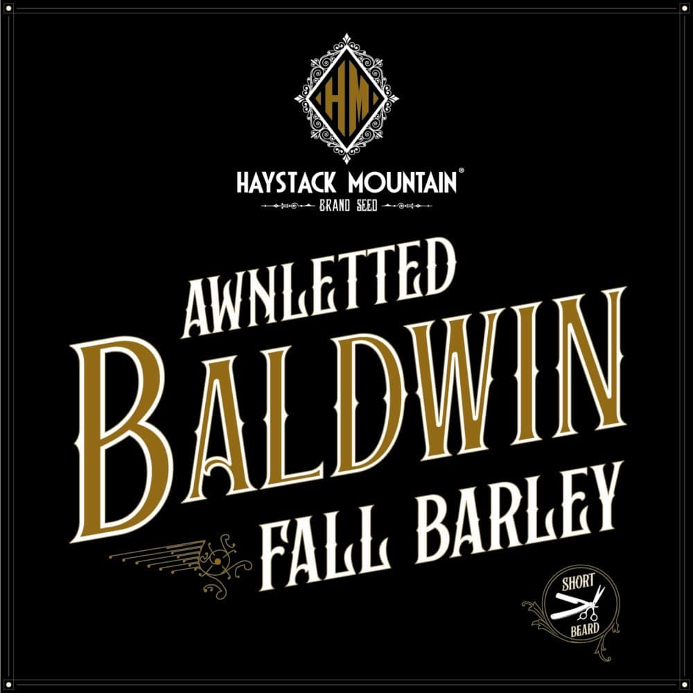 Baldwin Awnless Barley - Hordeum vulgare - Great Basin Seeds