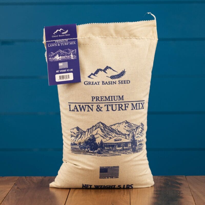 Lawn and Turf Seed Mix - Great Basin Seeds - lawn grass mixes