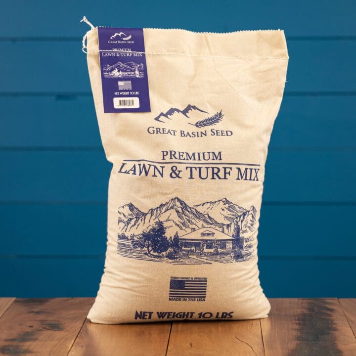 Lawn and Turf Seed Mix - Great Basin Seeds - lawn grass mixes