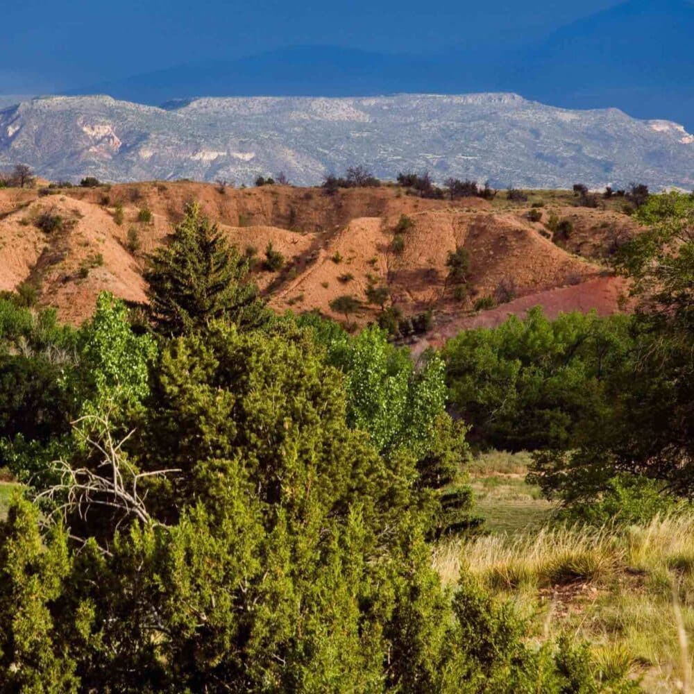 Santa Fe Trail Mixture - Great Basin Seed