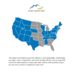 Small Burnet - Sanguisorba minor - Great Basin Seeds