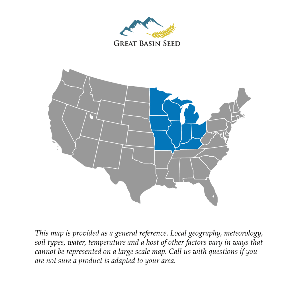 All Native Western Wildflower Seed Mix - Great Basin Seeds