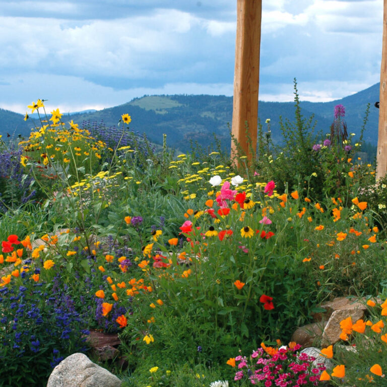 Great Basin Seed - your source for farm, ranch and range seed