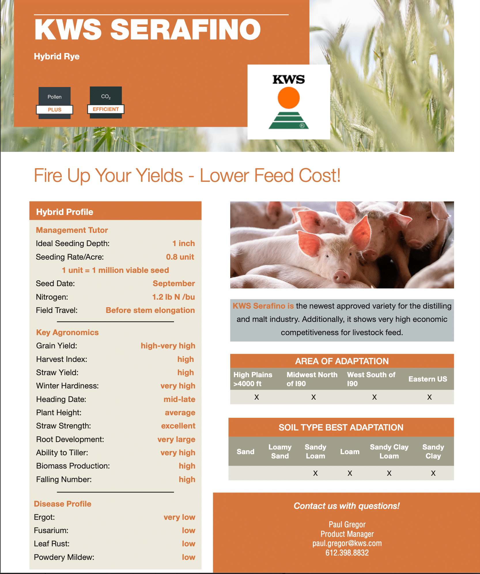 KWS Serafino - Hybrid Rye - Great Basin Seed